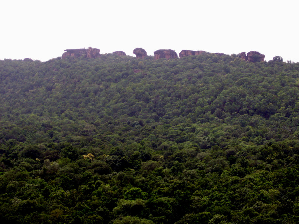 THE CUPULE REPLICATION PROJECT – Rock Art Web